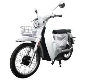 SM SPORT | Mforce Indonesia